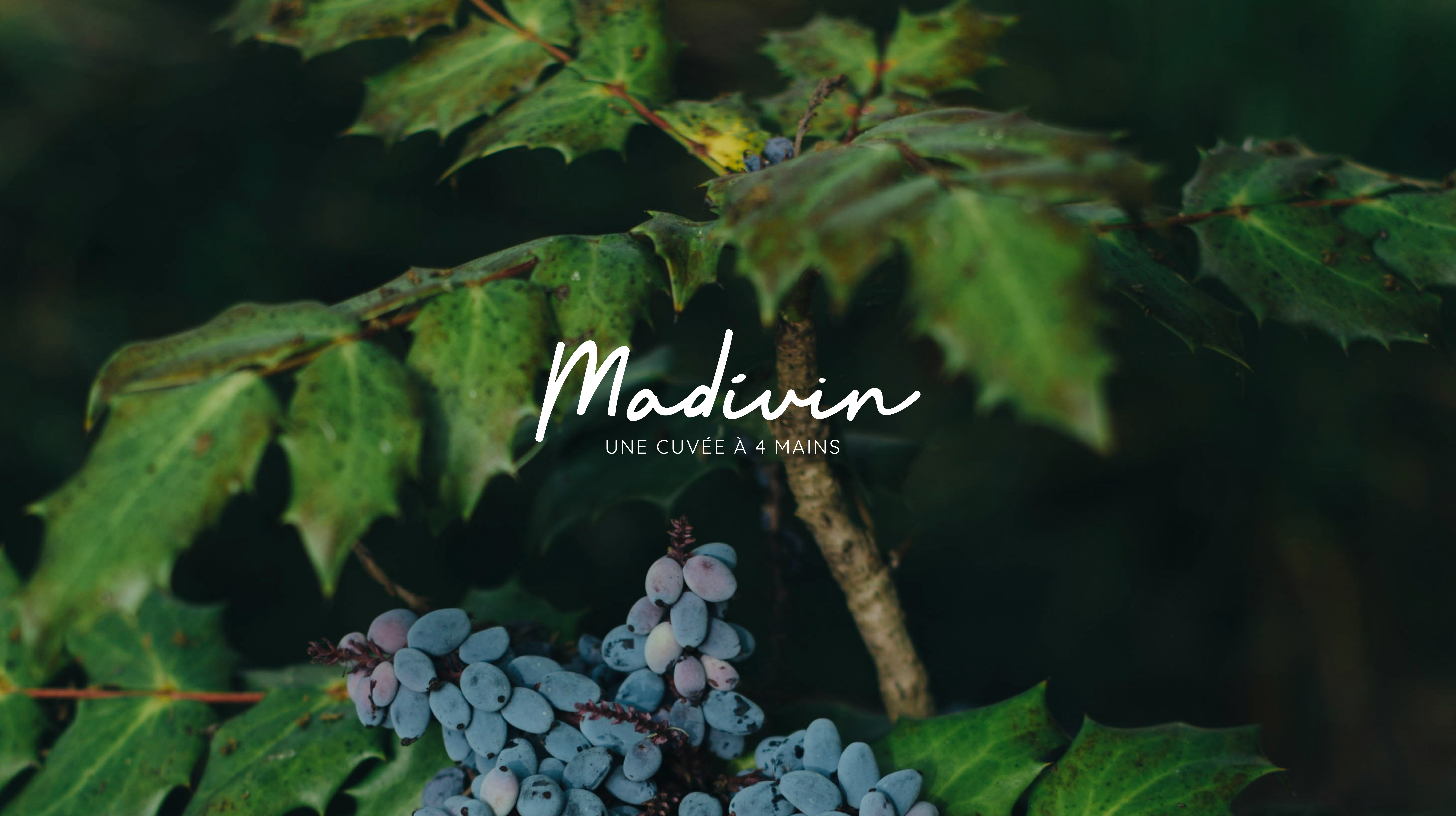 MAISON MADIVIN - Atelier Sésame